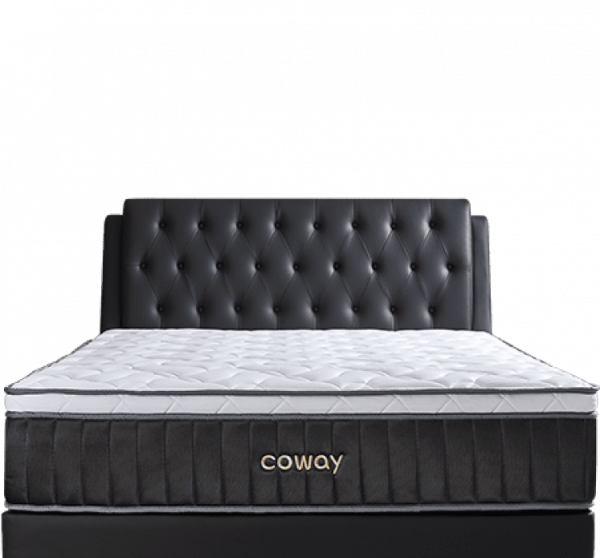 Water Purifier – Coway